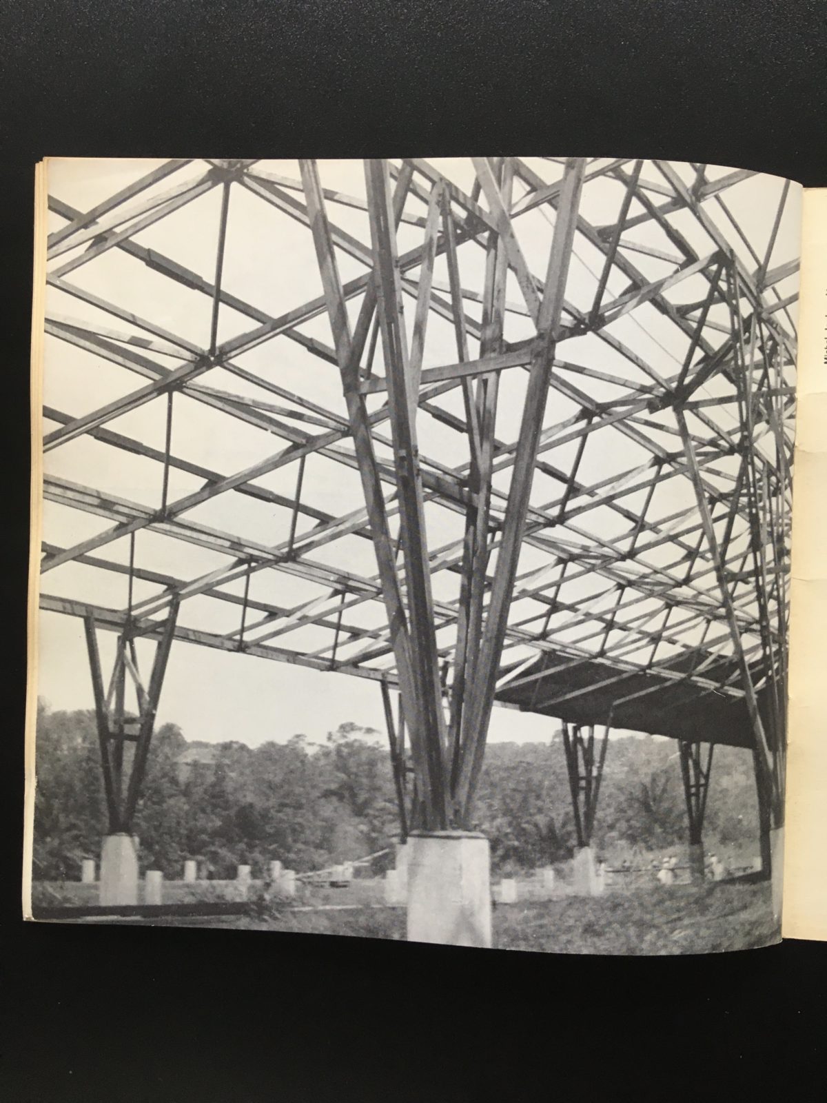 Le Ricolais: Espace Mouvement et Structures ( ARCHIVES ) - Benoit Waterkeyn